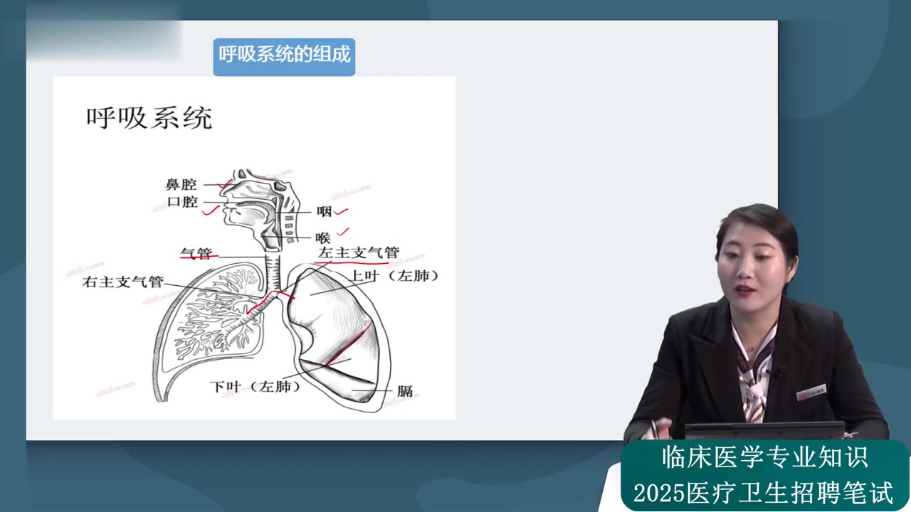 2025医疗卫生事业单位考试-临床医学专业知识-医疗卫生事业编招聘...