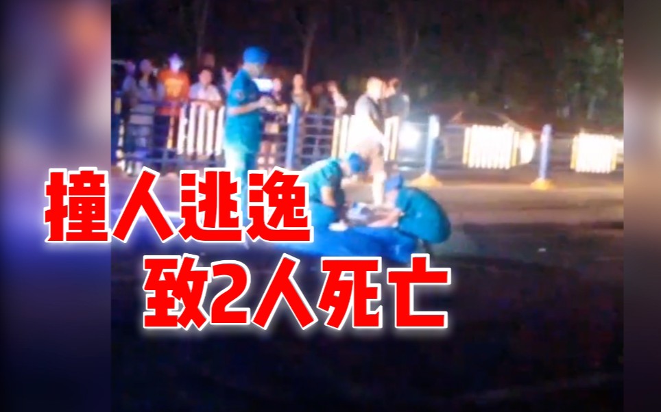 男子深夜街头驾车撞人逃逸致2人死亡 警方连续奋战3天抓其归案