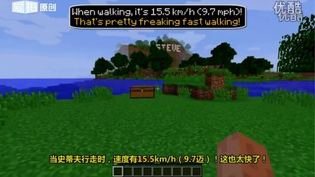 【我的世界☀minecraft★木门转载】mc你不知道的那些事--史蒂夫(籽...
