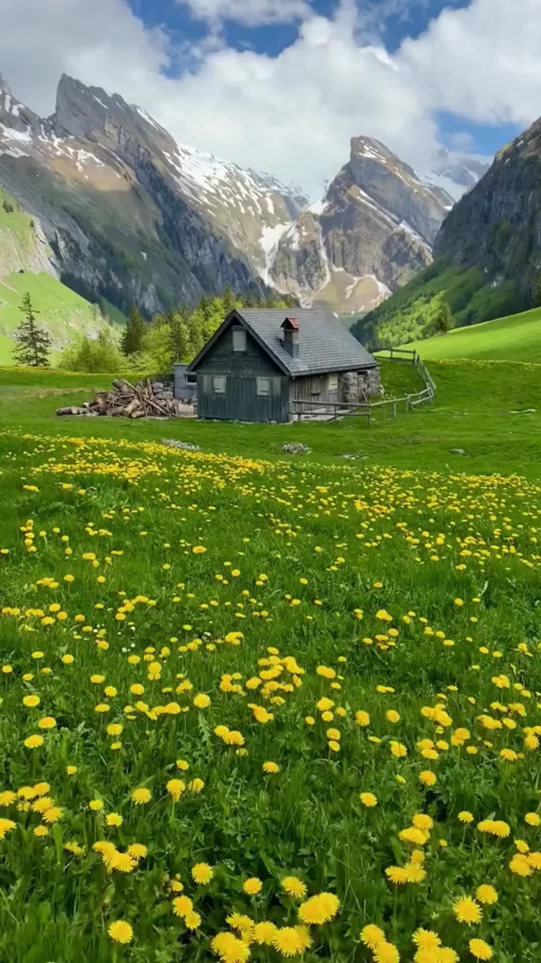 高清风景竖屏【24】