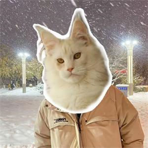 猫咪们的稷下学院 