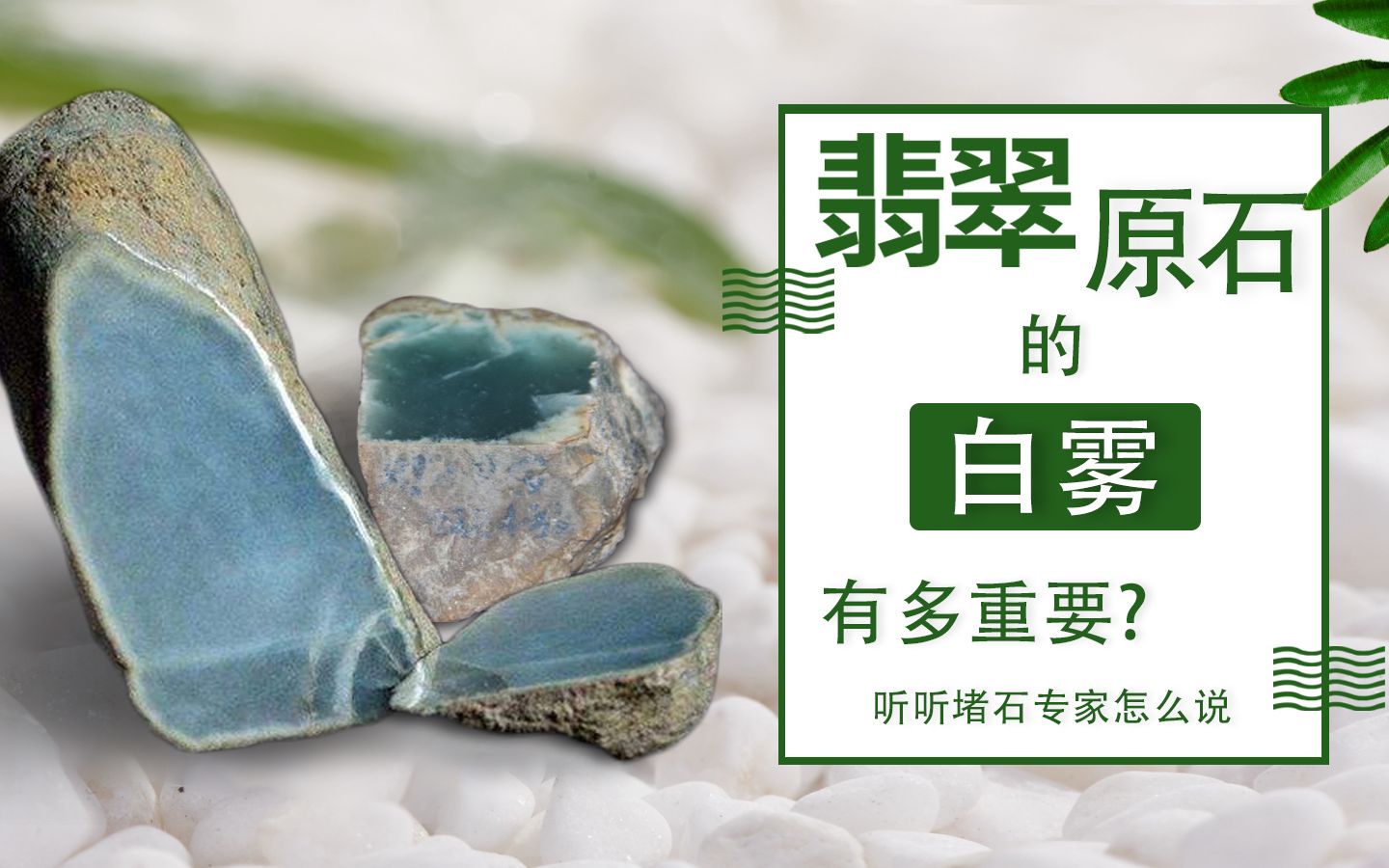 第二十五课-翡翠原石的白雾有多重要?听听赌石专家怎么说