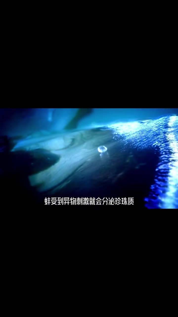 珍珠是怎么形成的,河蚌为什么能产出珍珠?