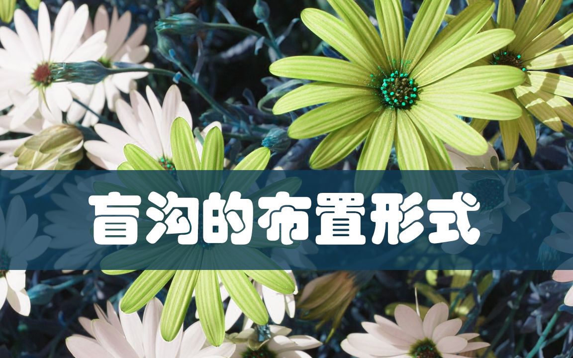 盲沟的布置形式