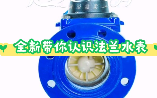 一个口径教会您法兰水表怎么选型