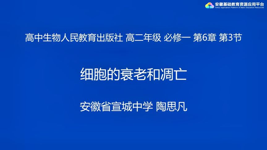 人教版高二生物——细胞的衰老和凋亡