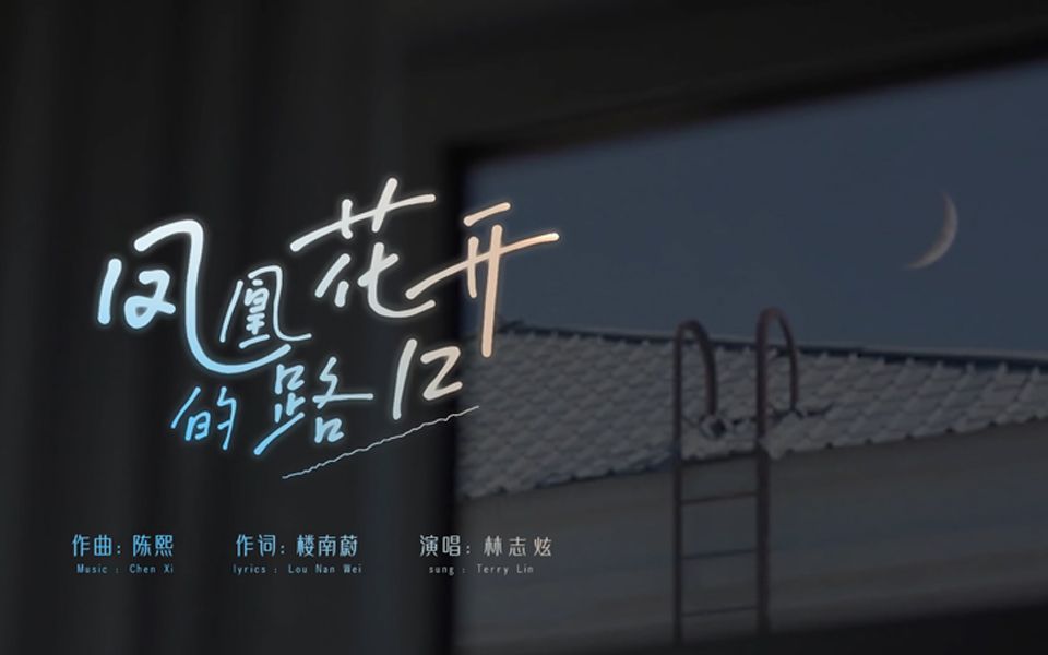 凤凰花开的路口大学毕业季电子AE字幕模板初高中纪念mv素材代改...