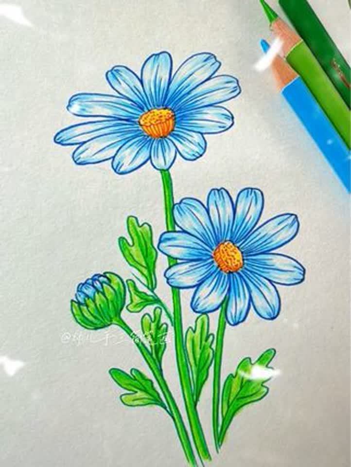...小雏菊,反正就是很喜欢蓝色就画啦 你喜欢什么颜色的花朵呢?#简易...