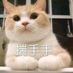 雍凉仲达 