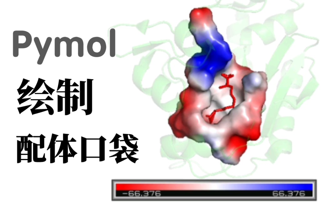 Pymol绘制蛋白配体口袋