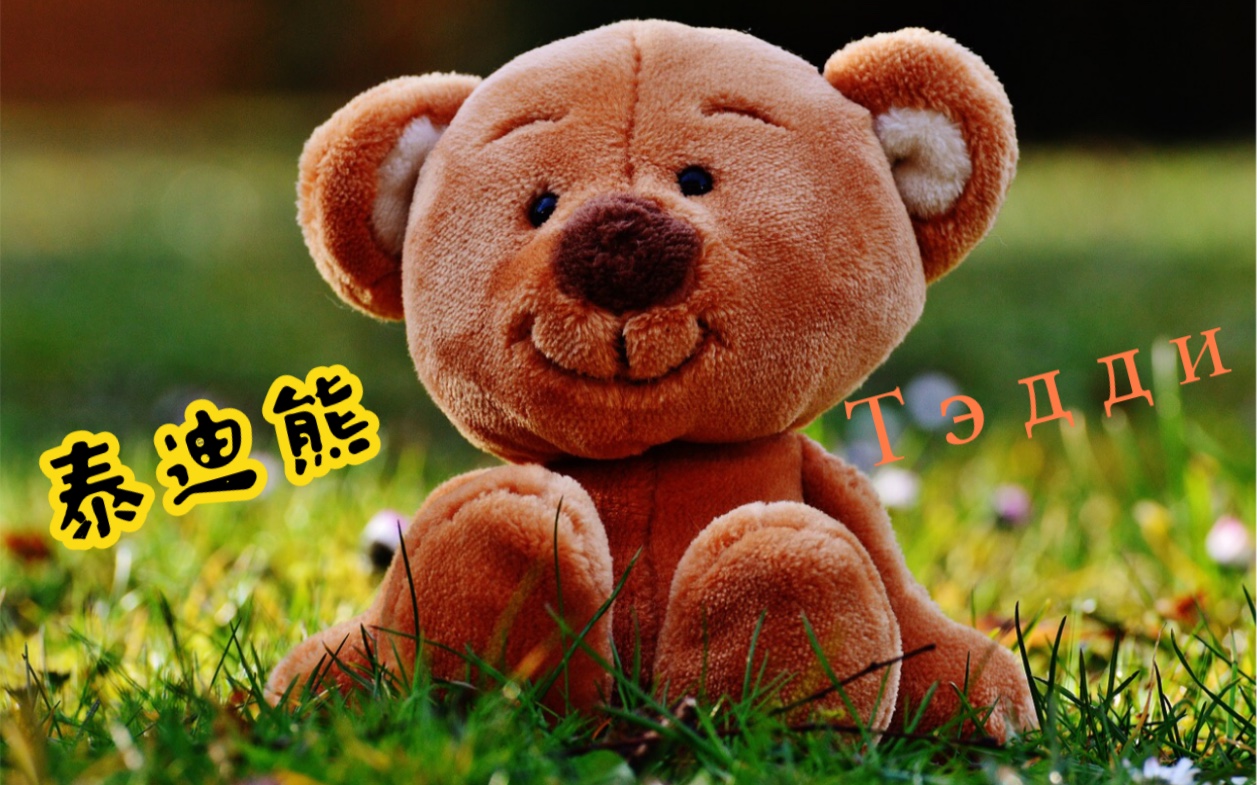 泰迪熊Teddy bear怎样发展而来,与美国第26任总统罗斯福有关?