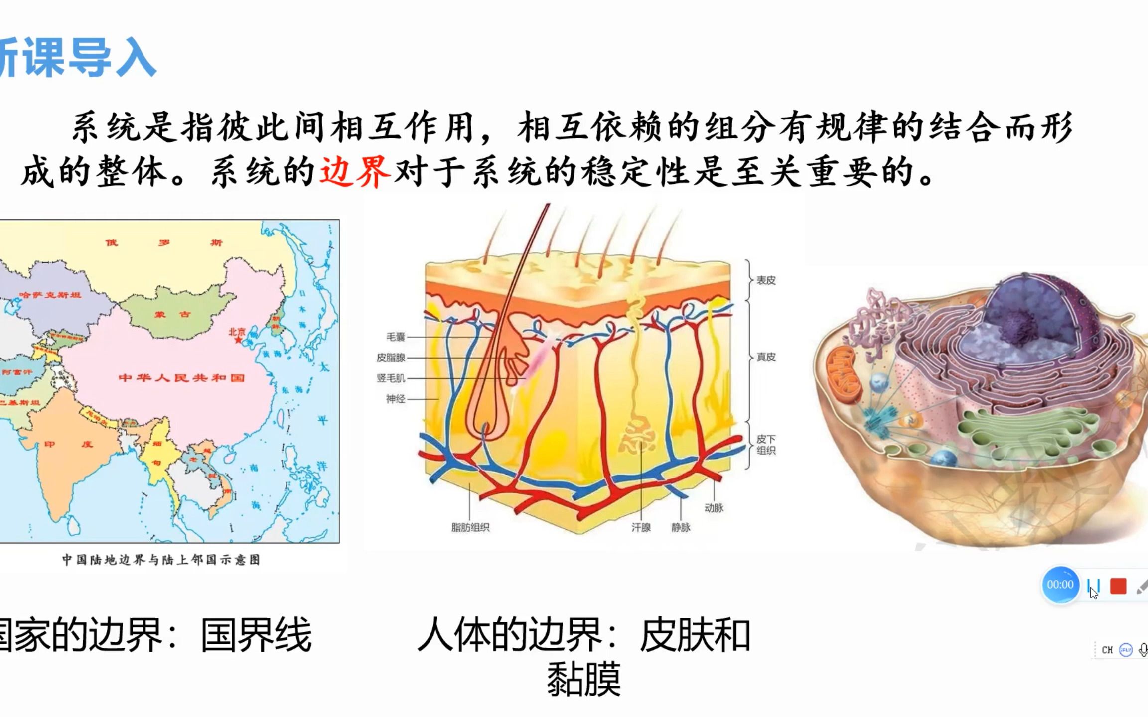 细胞膜的结构与功能(第一课时)