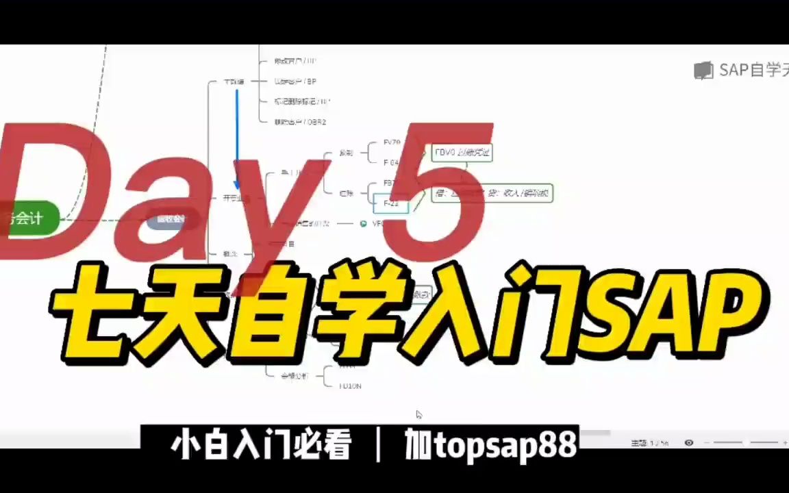 7天自学入门SAP SAP入门课 #sap系统学习 #sap培训 #s - 抖音