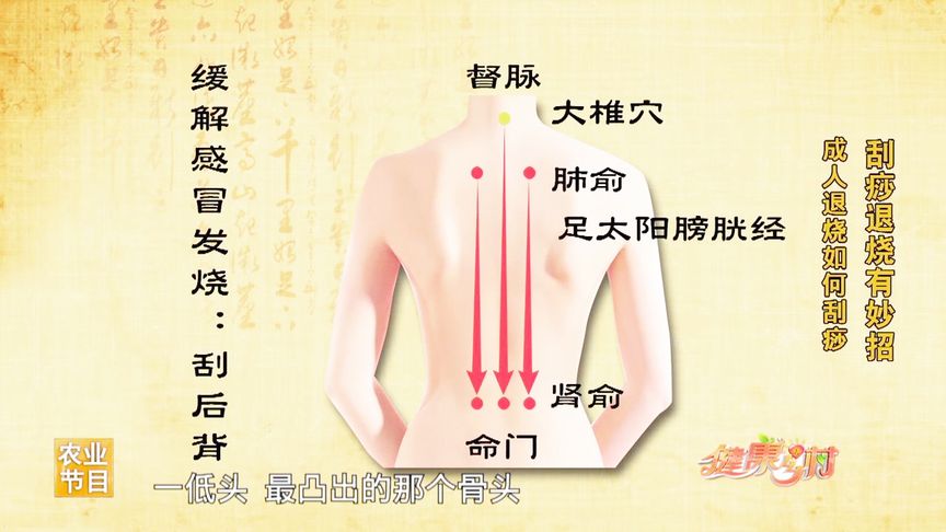 成人刮痧可以退烧?看看这几个地方,还有具体操作方法