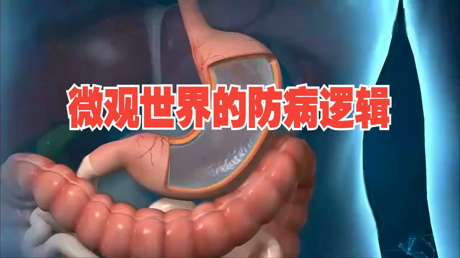 医学前沿:微观世界的防病逻辑 血管及肠道的微观研究,也进入到全新领域