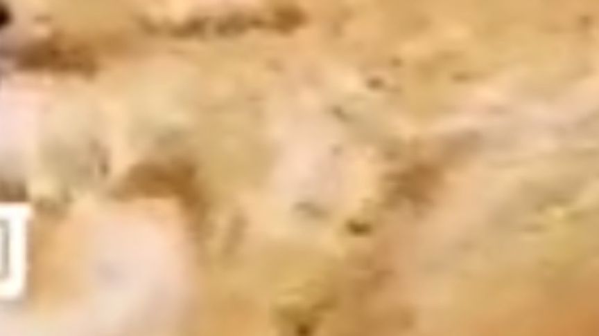 一首《黄河颂》唱出了我们的豪情,凝聚了民族的灵魂