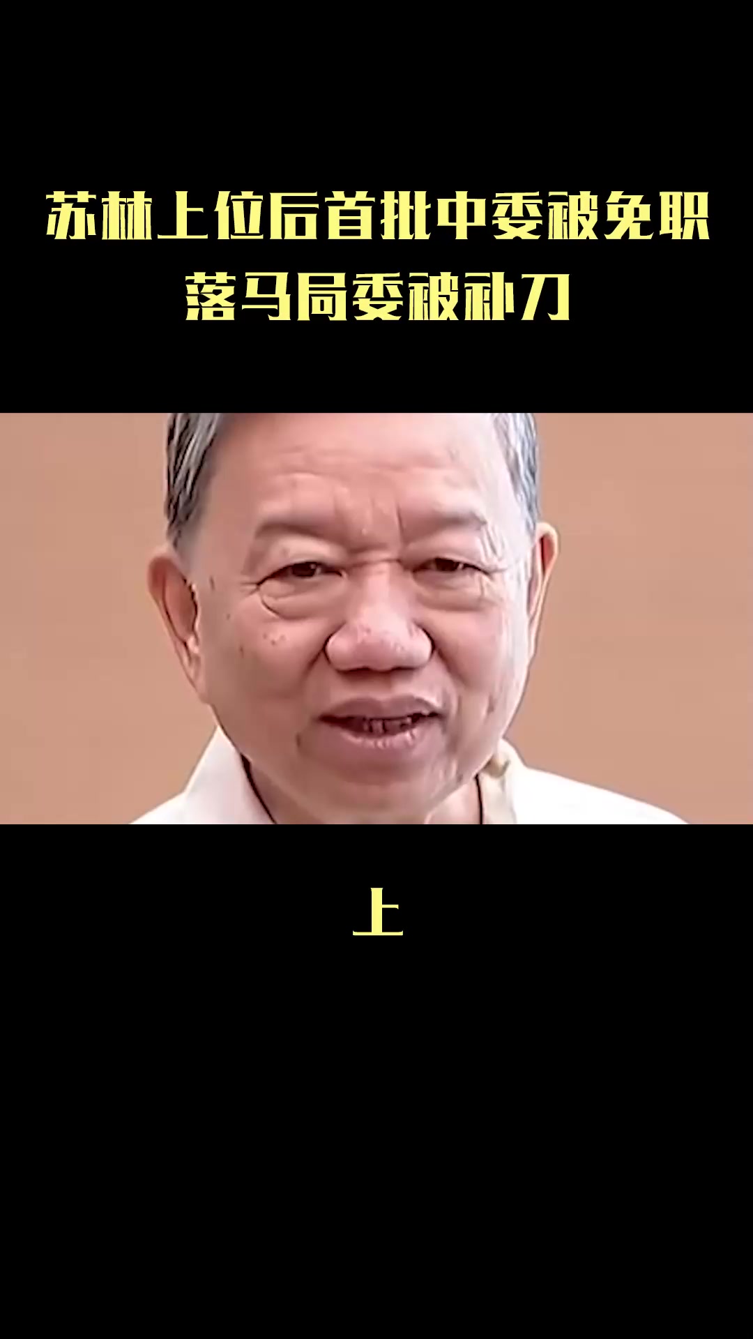 越南又有大动作,苏林上位后首批中委被免职,落马局委被补刀 #越南