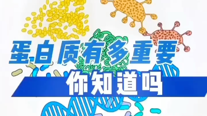 蛋白质有多重要你知道吗?