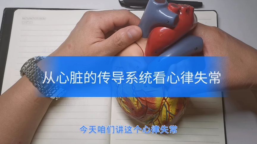 心血管科普:想了解心律失常,就得知道传导系统