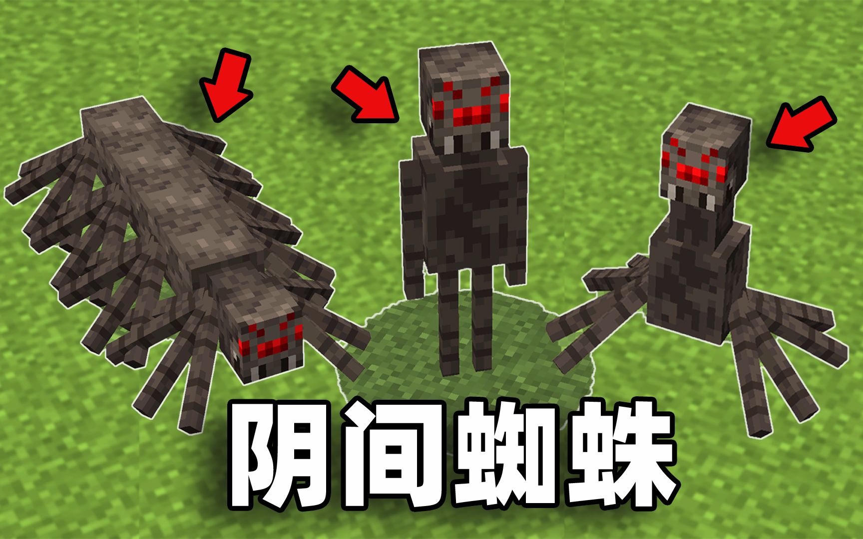 这是什么阴间蜘蛛模型啊!你敢进来看看吗?