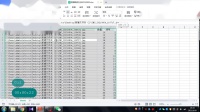 excel表多屏幕截图