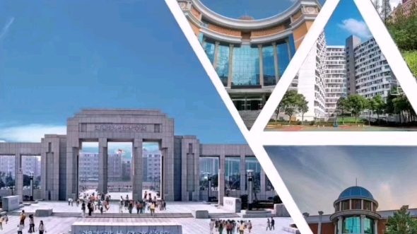 稳妥自考专科:湖南涉外经济学院专业:视觉传播设计与制作说明:98%...