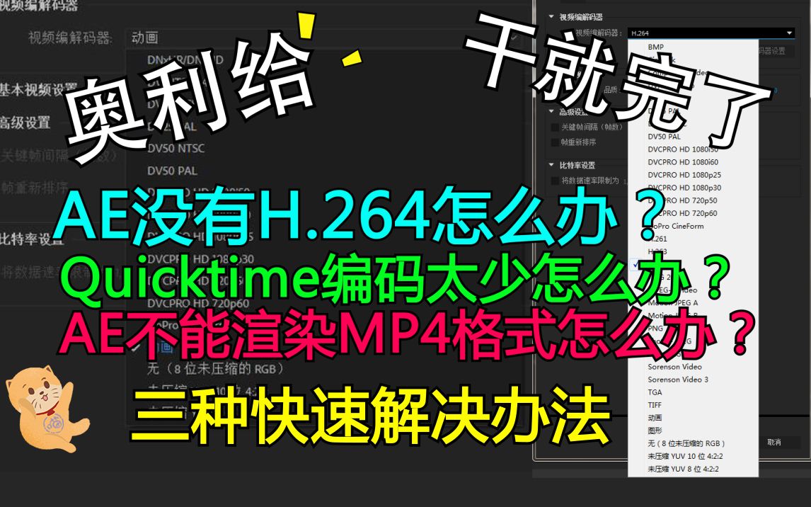AECC2018 19 20没有H.264格式没有MP4格式没有视频解码编码器...