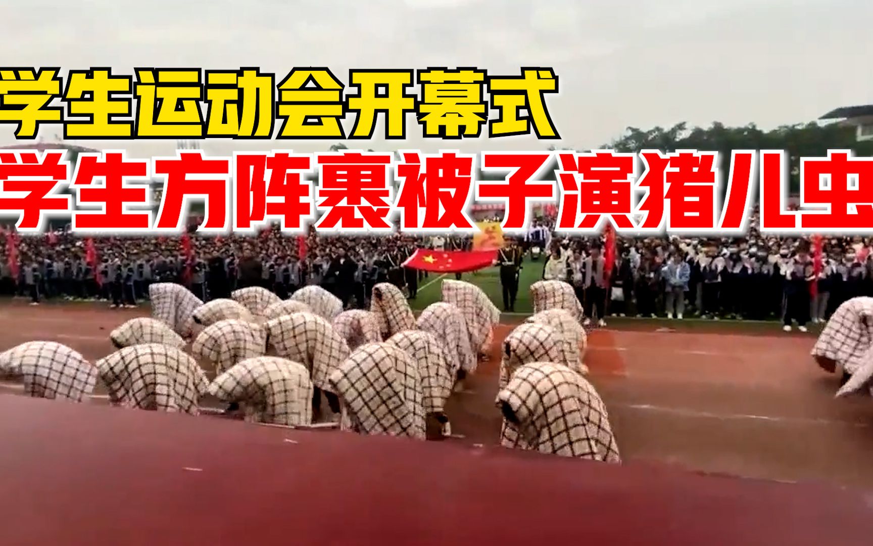 学生运动会开幕式现裹被方阵,班主任:他们表演的是猪儿虫