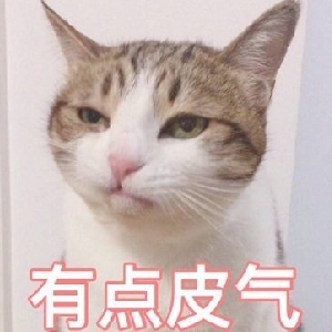 夏天鱼冬天水 