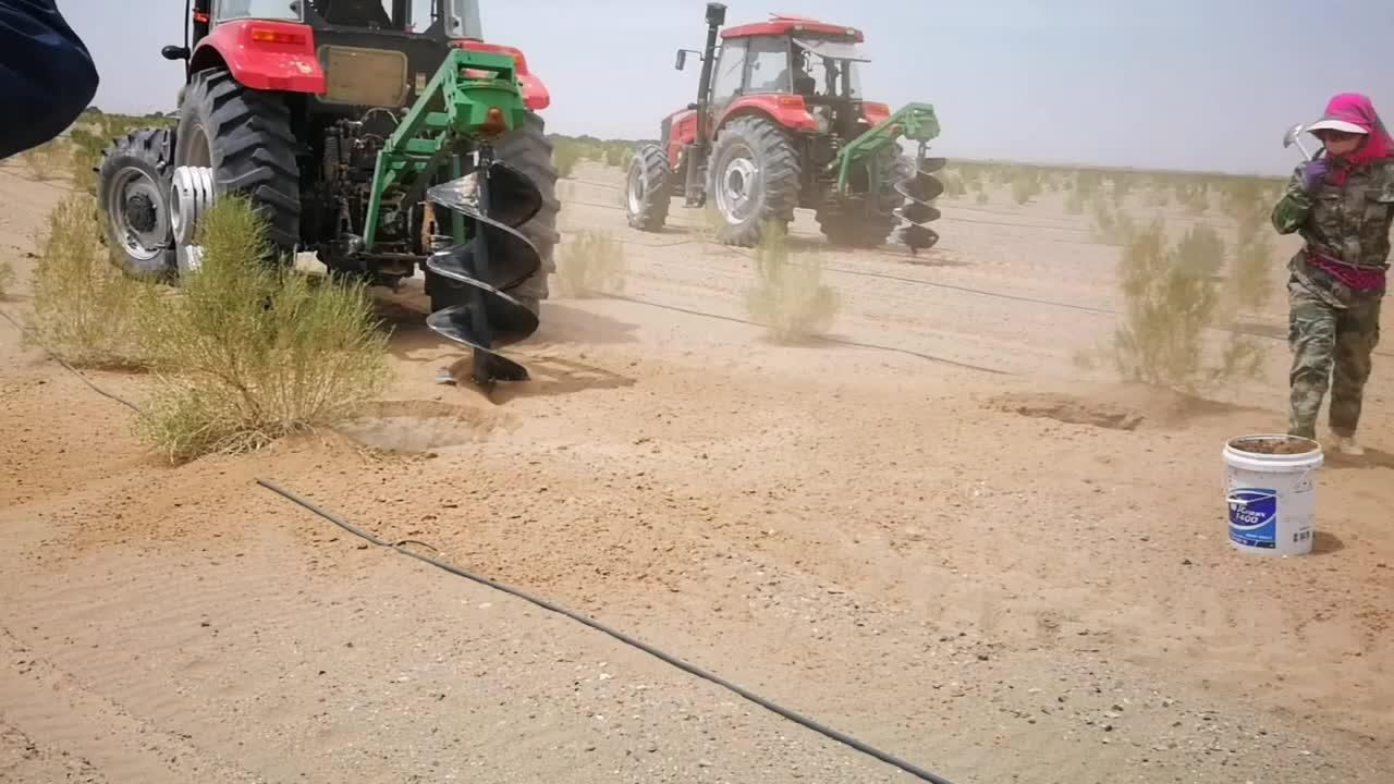 蚂蚁森林,大面积种植肉苁蓉