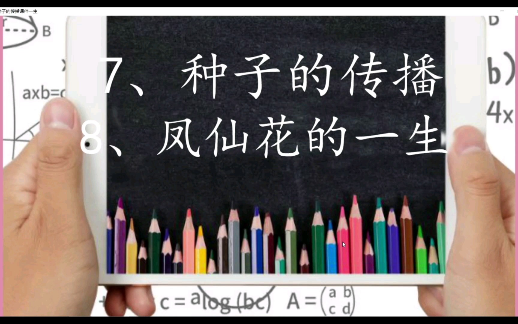 科教版小学四年级科学下册1.7种子的传播1.8凤仙花的一生合集