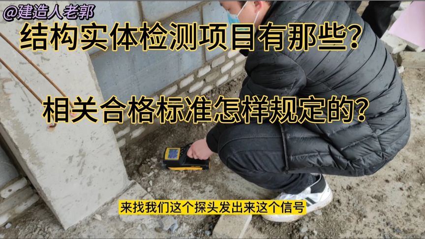 结构实体检测项目有那些,相关合格标准怎样规定?