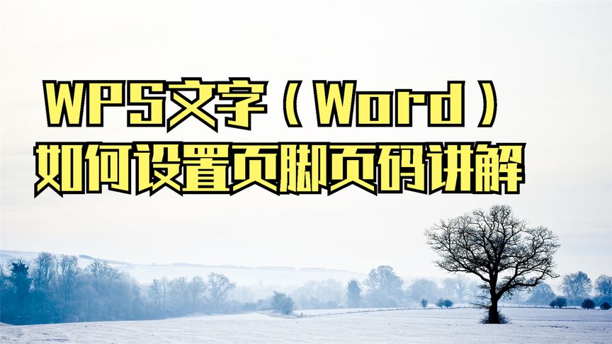 09WPS文字(Word)如何设置页脚页码讲解