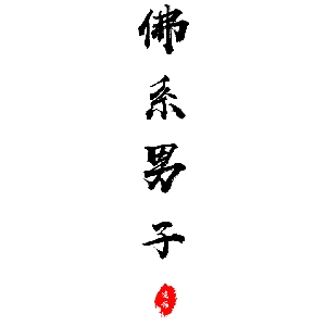 MAX石头8 