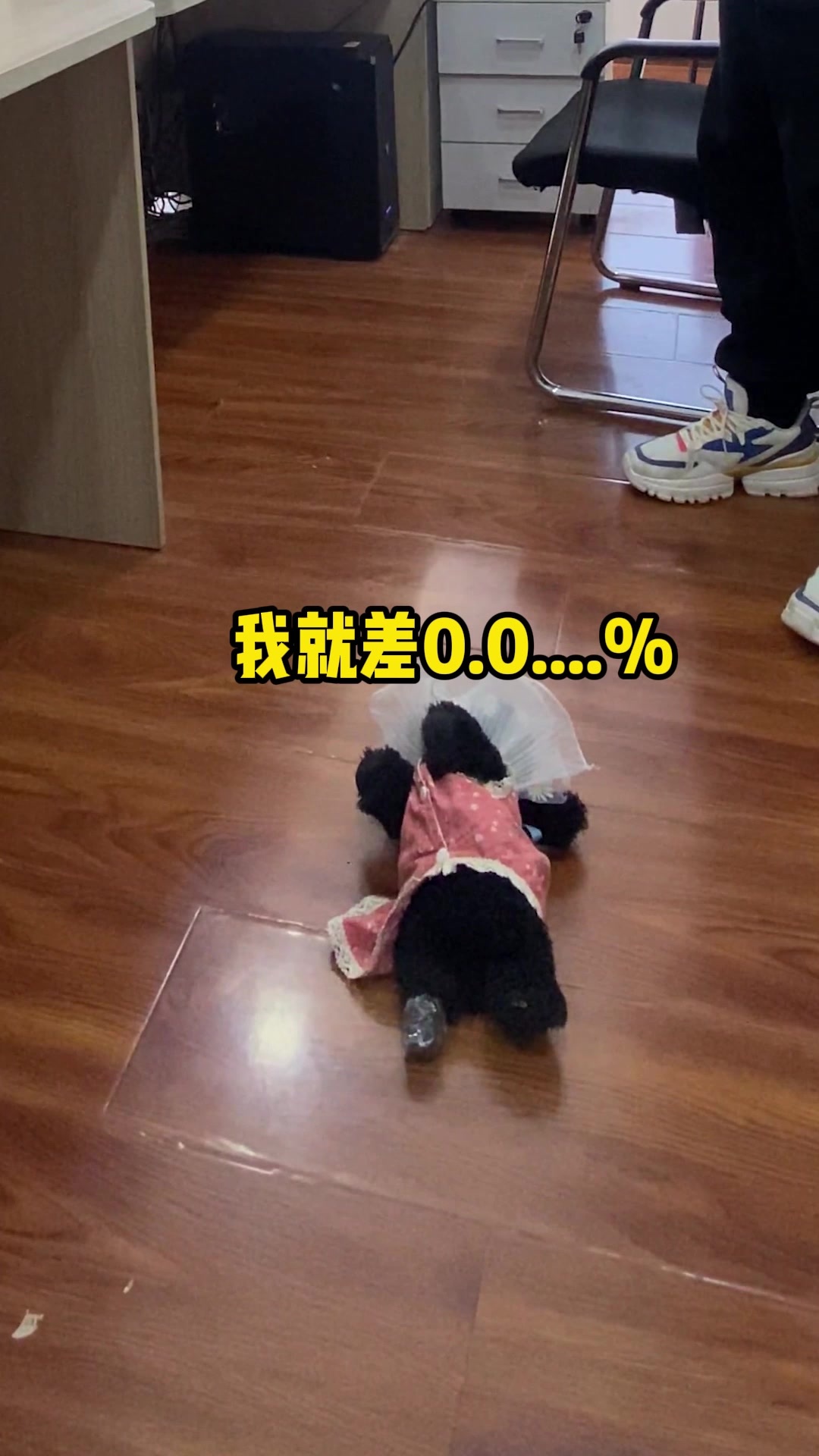 .就可以提现#拼多多