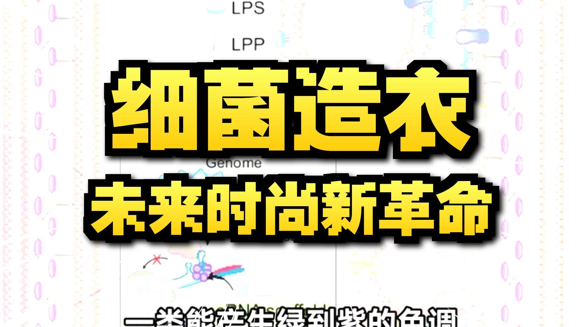 细菌新就业——“裁缝”?!