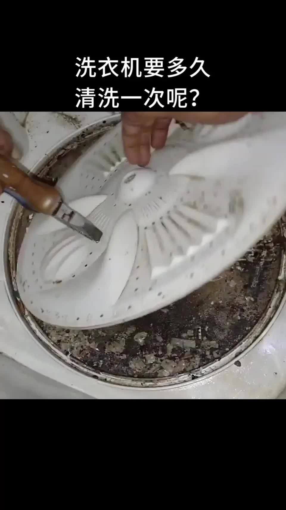 洗衣机要多久清洗一次呢?