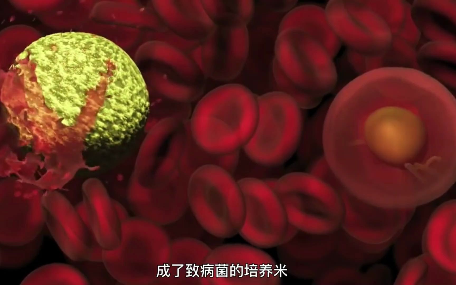 人体感染病毒后,身体免疫系统是如何发起攻击的!