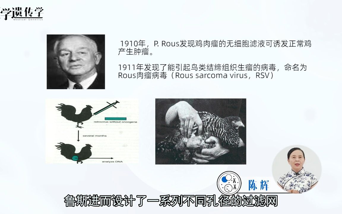 [11.4.1]--10.4癌基因的概念与种类