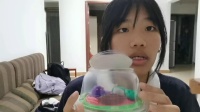 植物细胞结构模型——周雪如