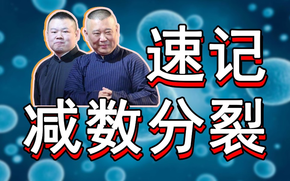 【速记高中生物】减数分裂的过程怎么记?4分钟牢记高中生物重点!