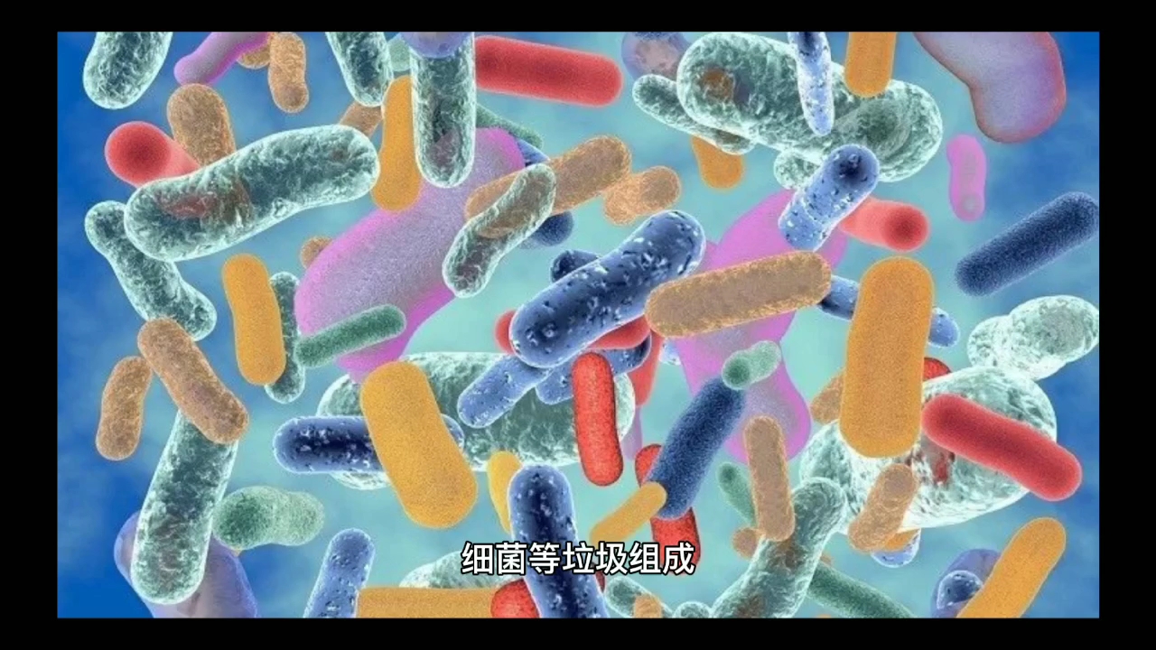 洗衣机长时间不清洗的危害