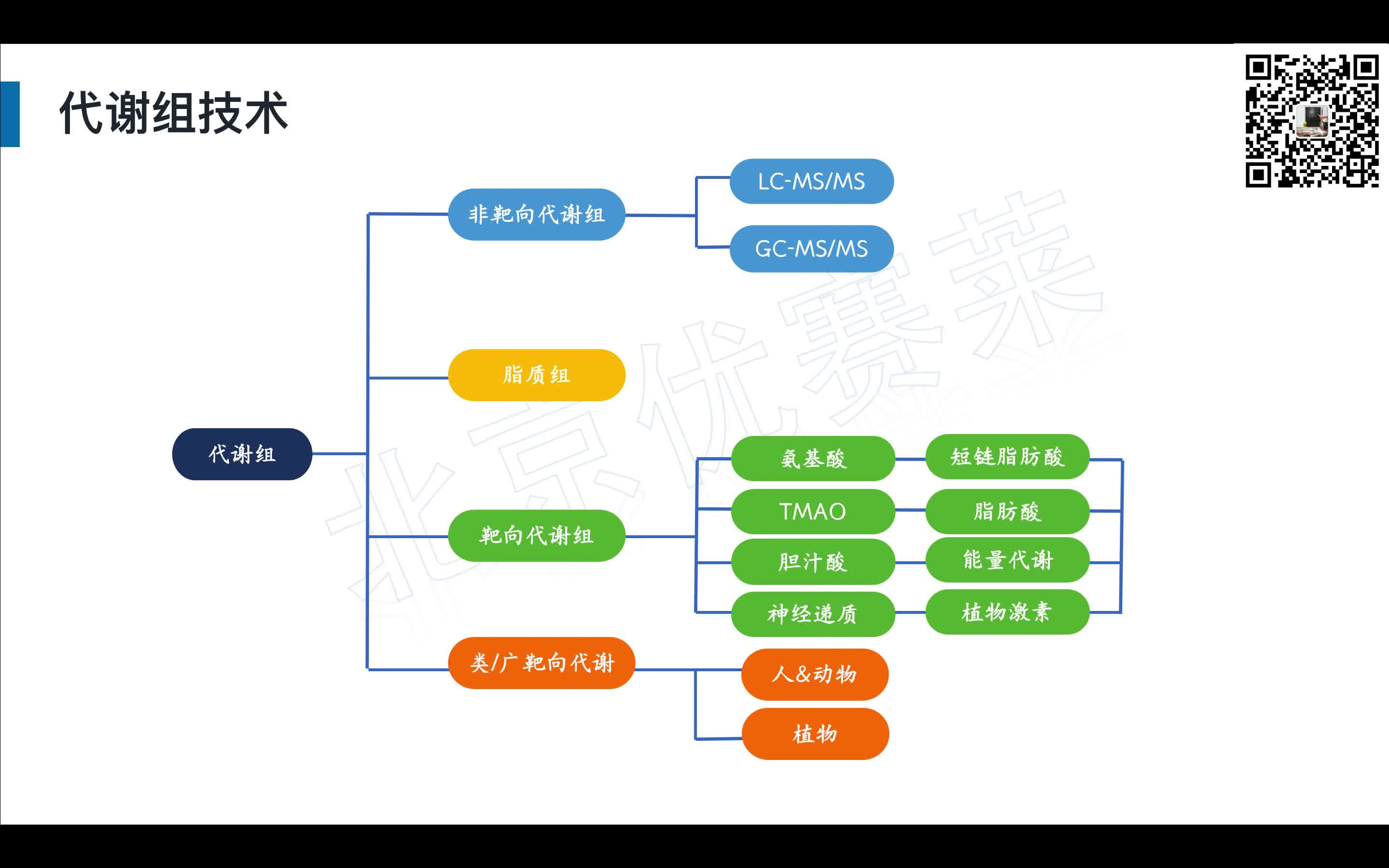 代谢组SCI文章思路解析