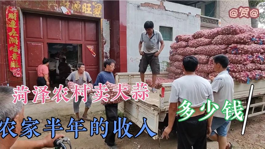 山东农村卖大蒜,为了两分钱差点和小贩吵架,一车大蒜卖多少钱?