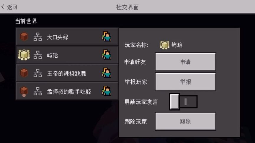我的世界服务器。