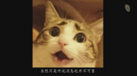 亡灵咒怨细思极恐1