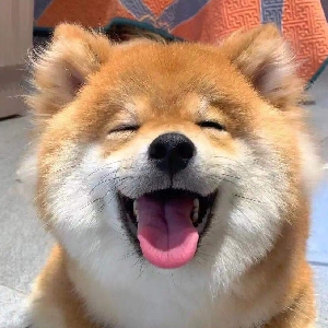 loongzxy 
