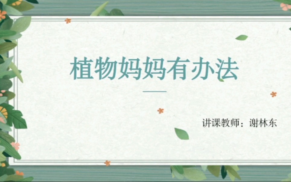 《植物妈妈有办法》微课录制