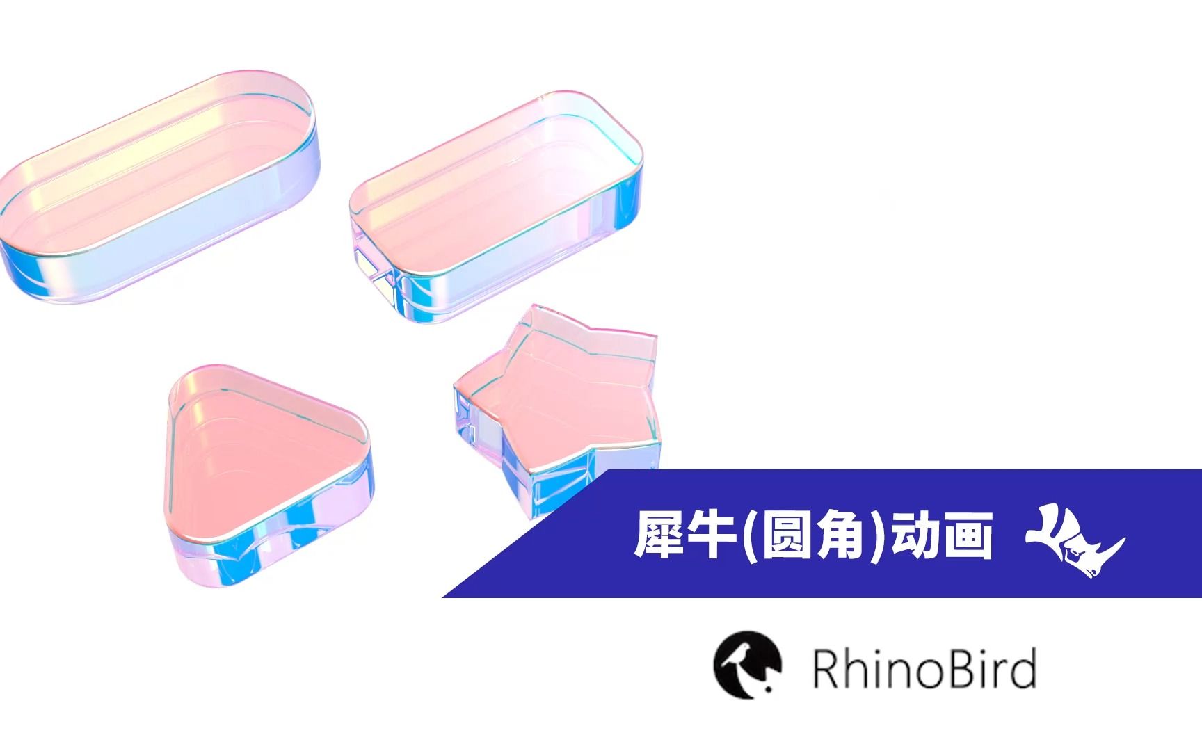 RhinoBird 犀牛鸟(圆角)动画—KeyShot渲染
