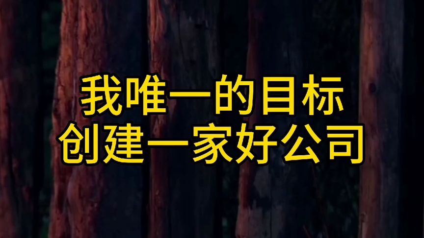 我唯一的目标是创建一家好公司